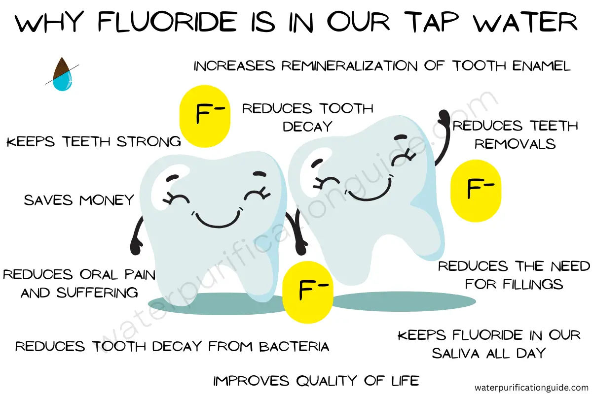 10 Reasons Why Fluoride Is In The Tap Water We Drink - Water ...