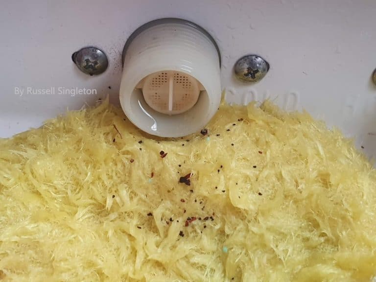 Washing Machine Water Filter Guide: And Some Types We Really Like ...