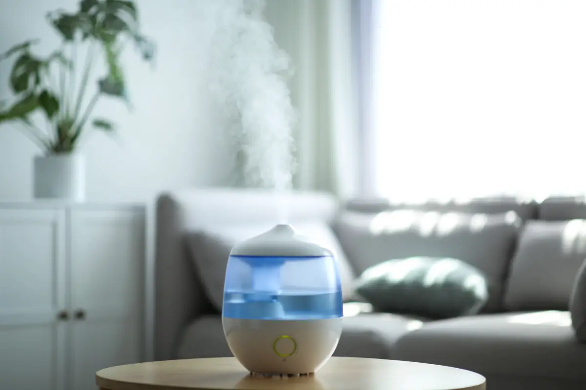 Using RO Water In A Humidifier: Is It The Best Choice - Water ...