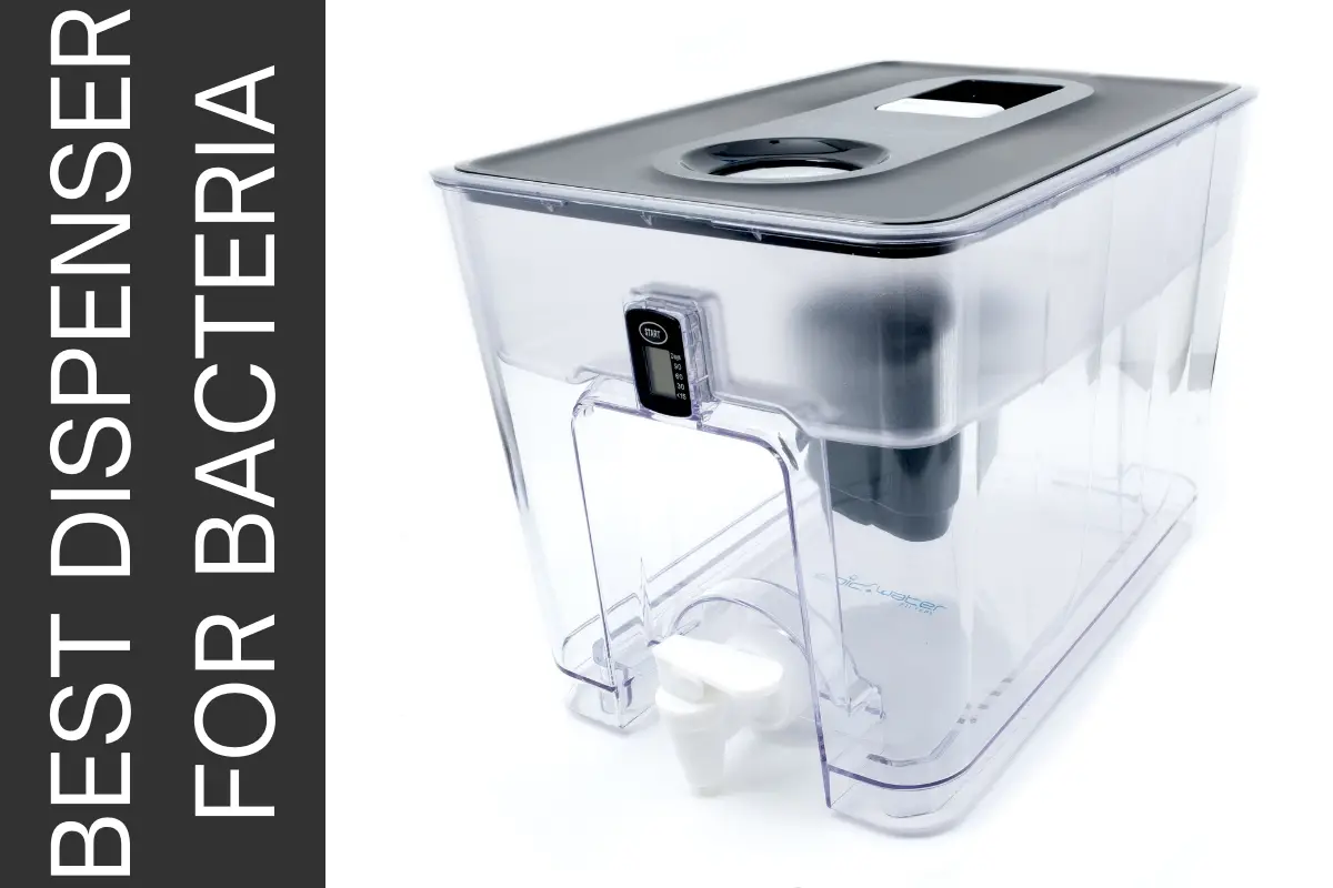 Bacteria - Water Purification Guide