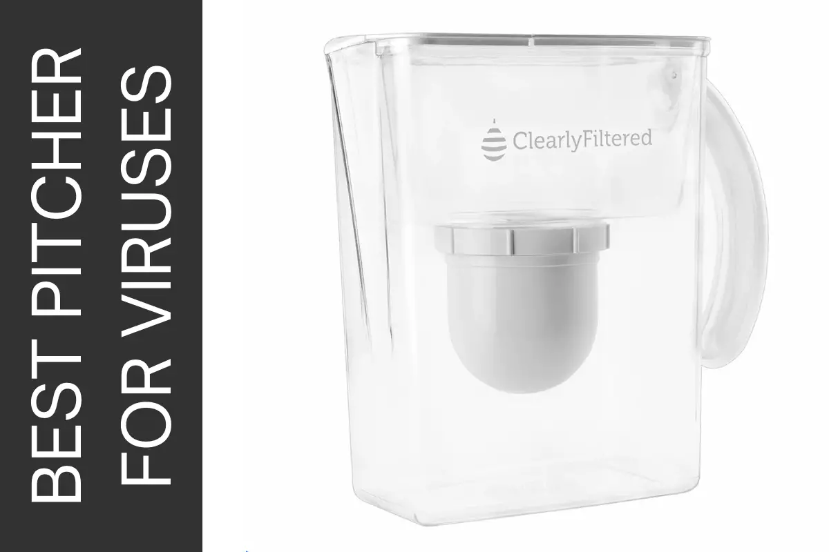 Viruses - Water Purification Guide