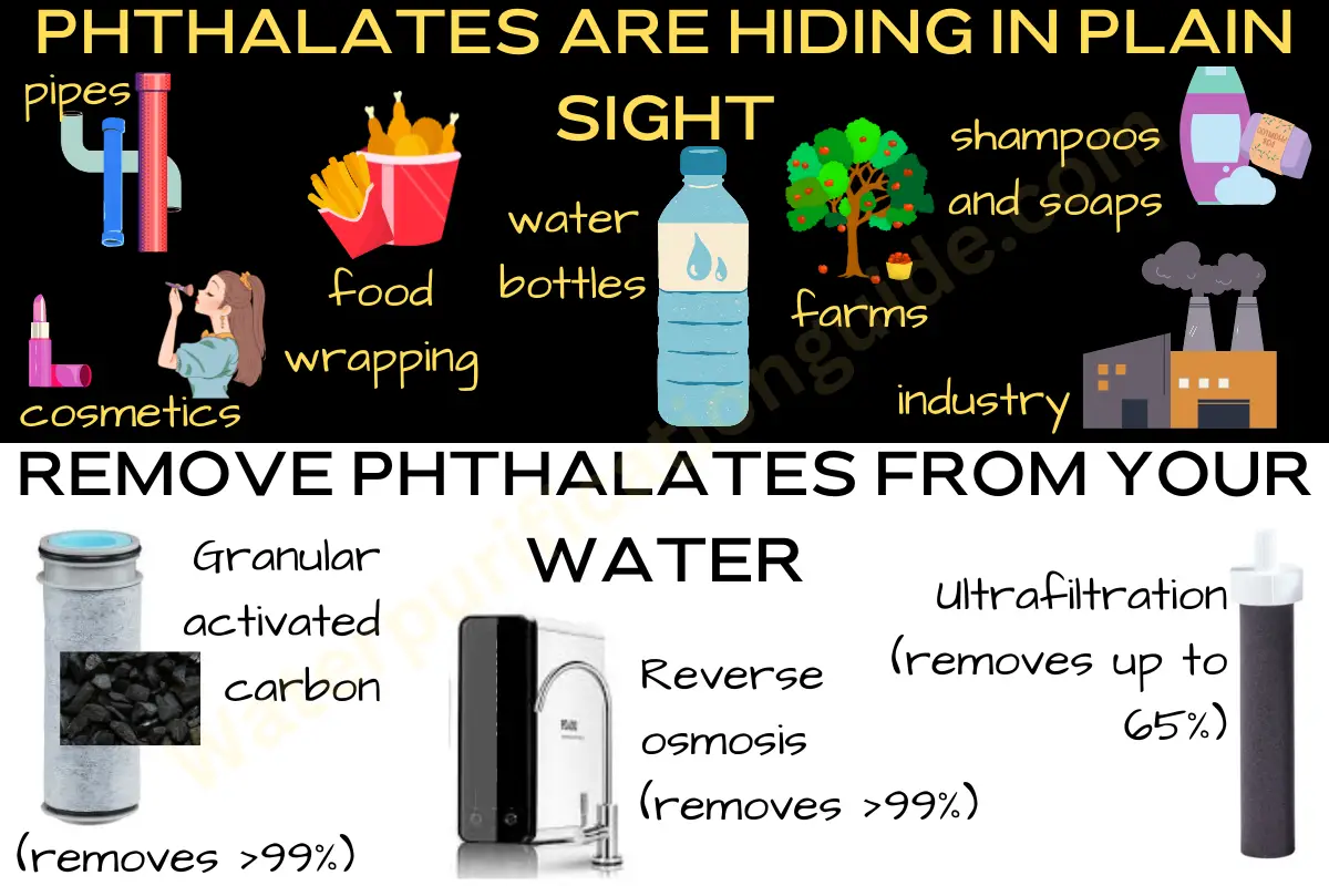 5 Ways You Are Drinking Phthalates - And How To Remove Them - Water ...