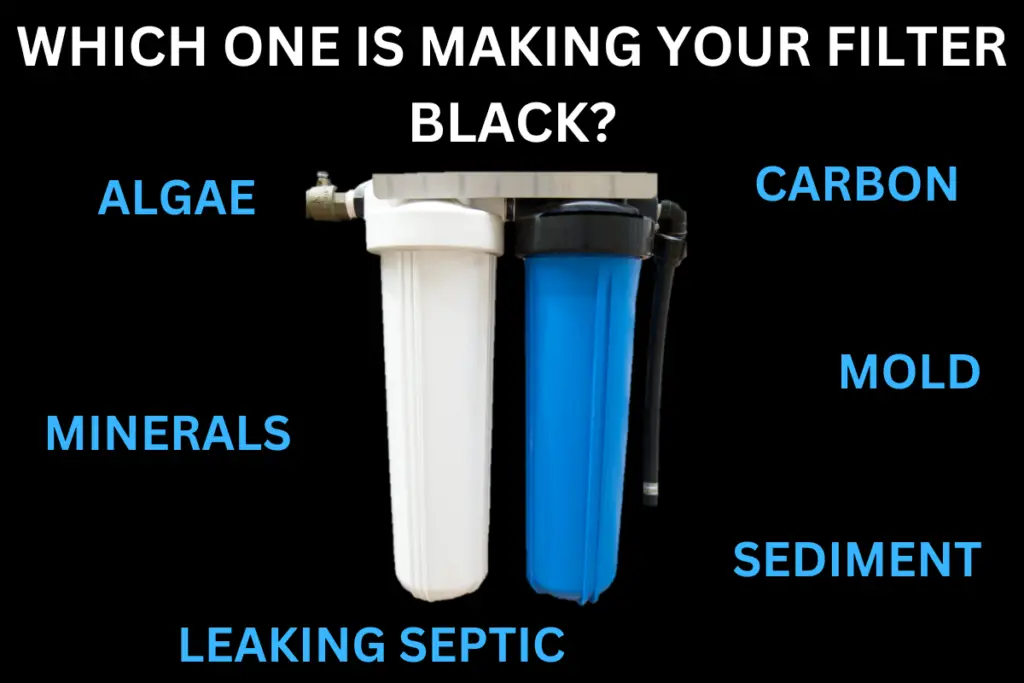 Reasons Why Your Whole House Water Filter Is Black - Water Purification ...