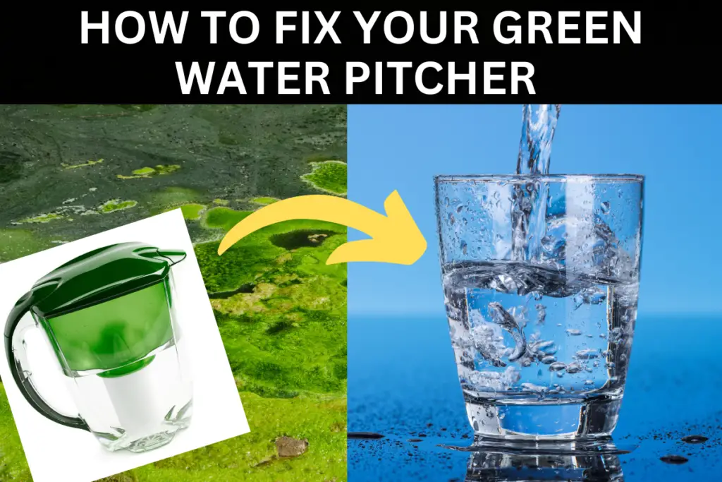 5 Reasons Why Water Pitchers Turn Green - How To Prevent It - Water ...
