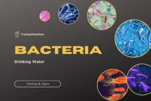 Bacteria In Drinking Water (3 Ways To Know) - Water Purification Guide