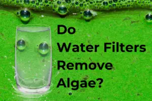 Do Water Filters Remove Algae? - Water Purification Guide