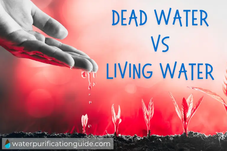 The Difference Between Dead And Living Water - Water Purification Guide