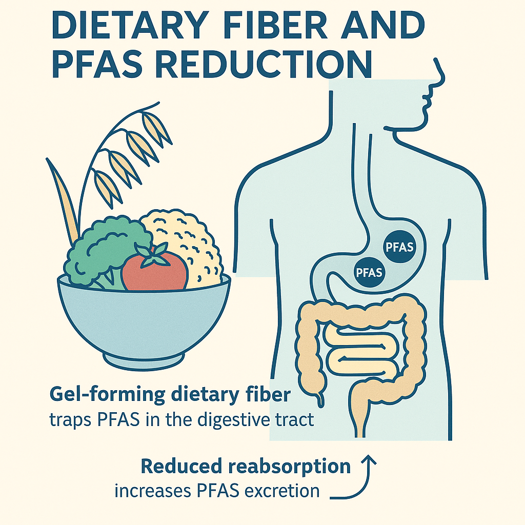 Eating Fiber Could Remove PFAS From Your Body, Study Suggests - Water ...