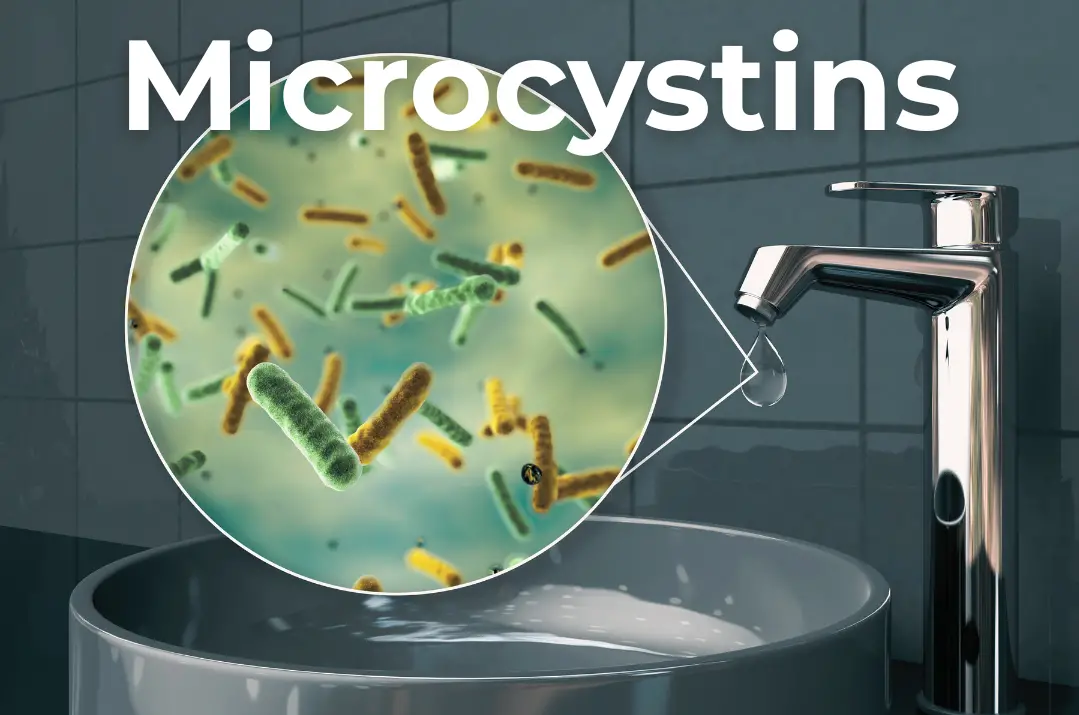 Microcystins: Can Water Filters Remove Algal Toxins? - Water ...